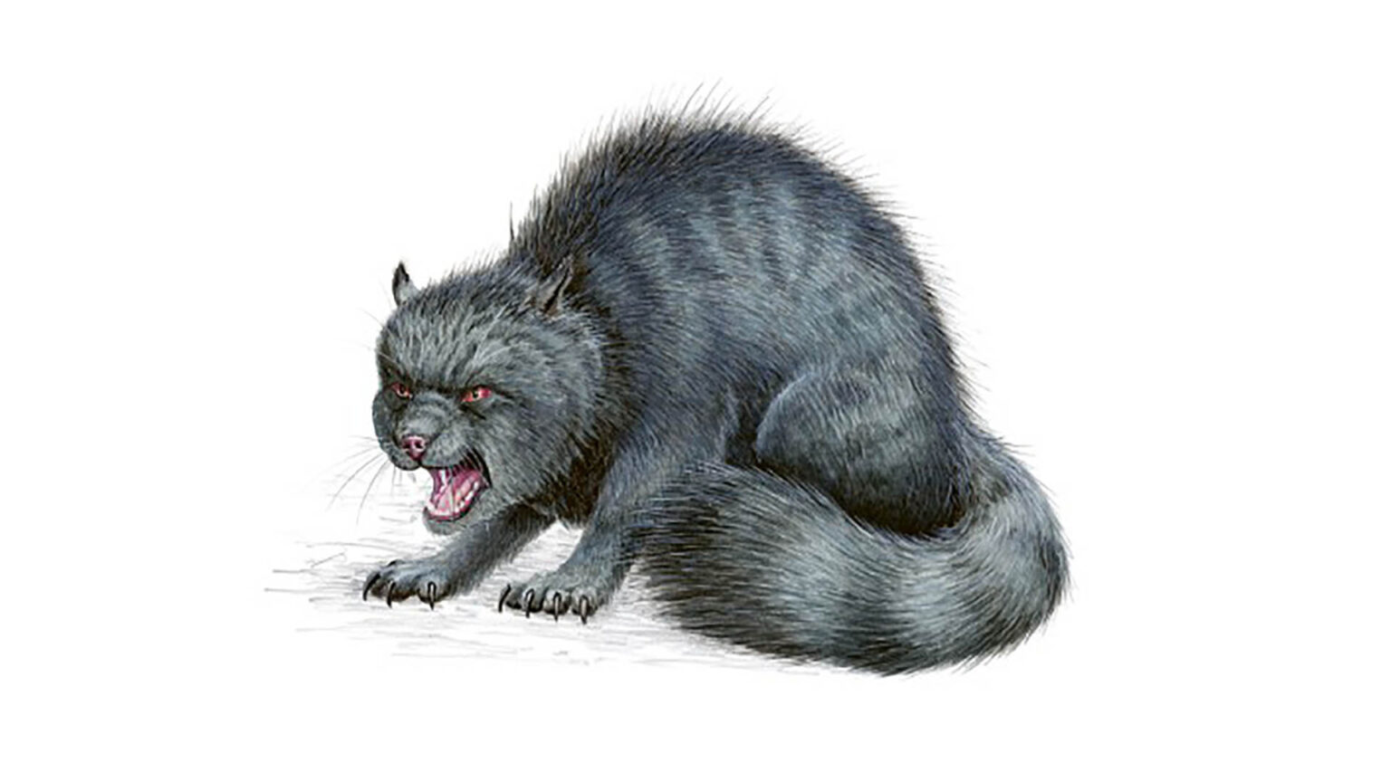 Strange Icelandic Creatures & Folklore Monsters Explained