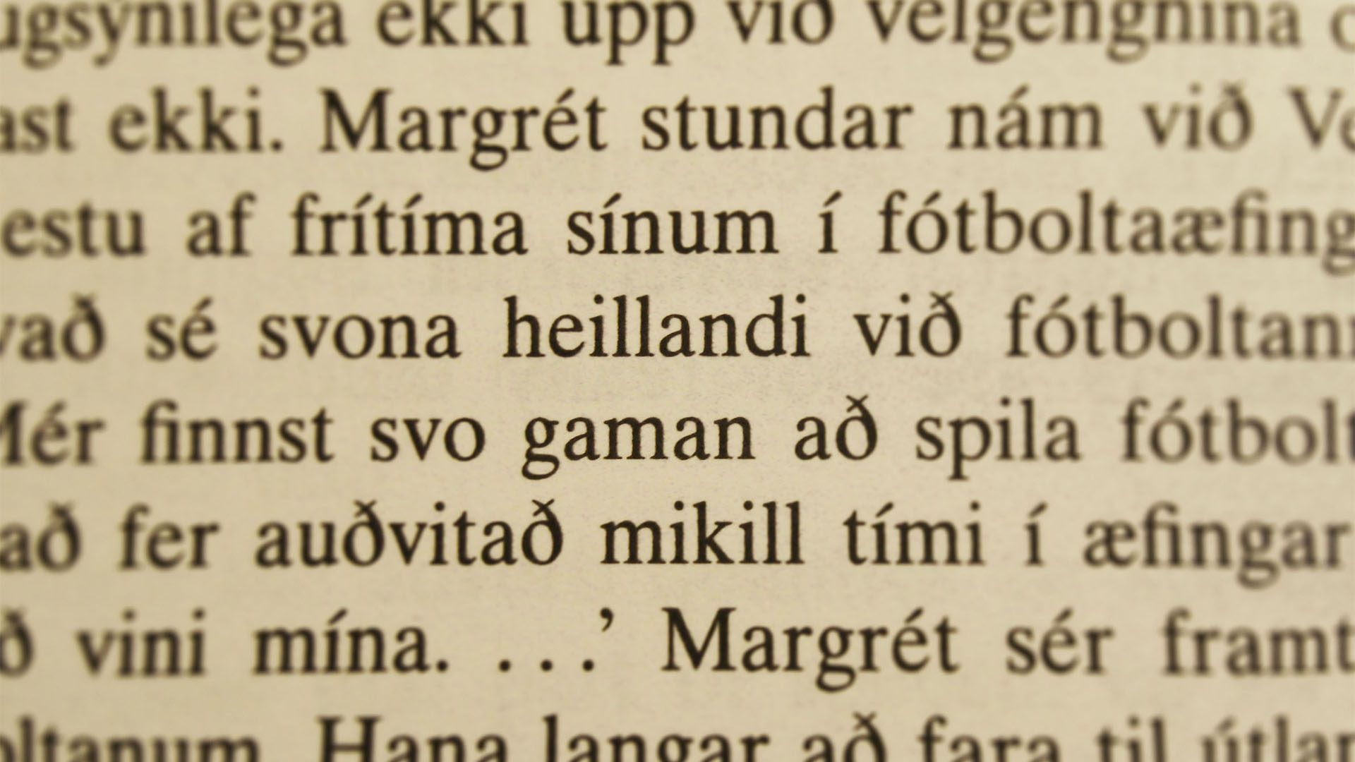 Learn Icelandic, the Language of the Vikings | Your Friend in Reykjavik